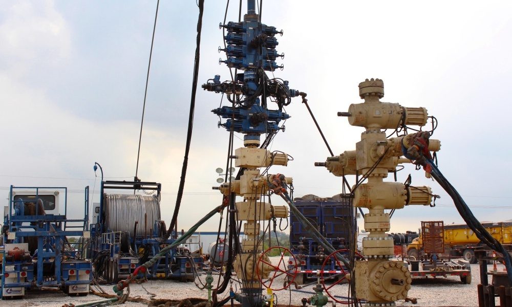 Edvantage Learning Professional